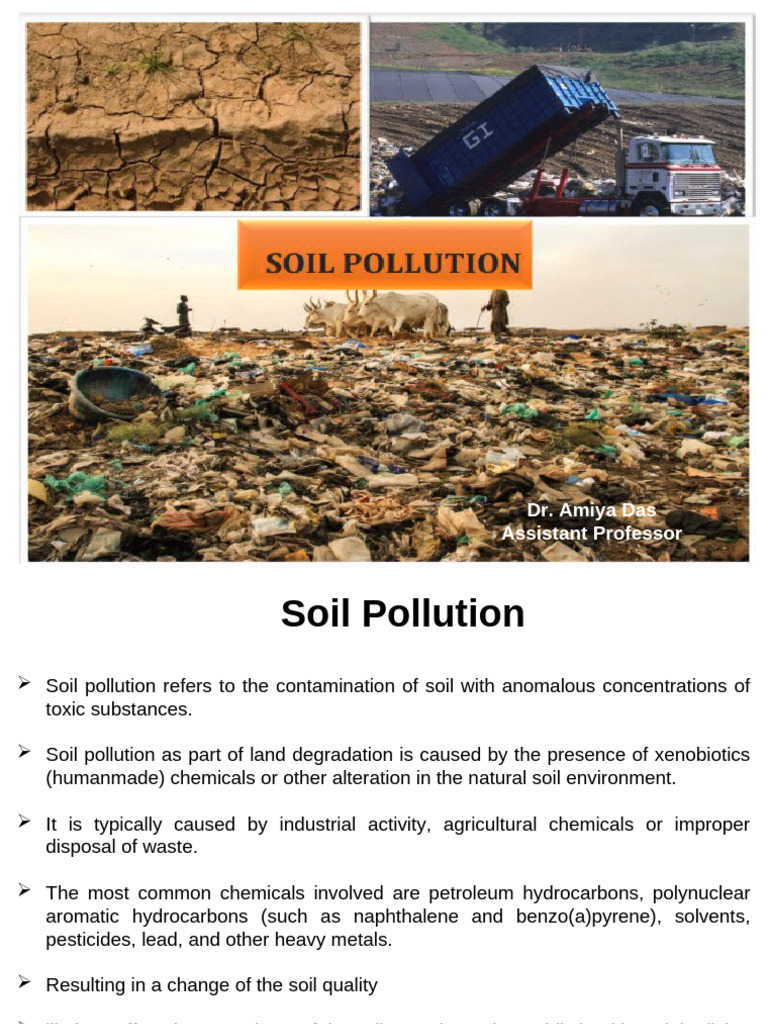 Soil Pollution - DR - Amiya | PDF | Radioactive Decay | Soil