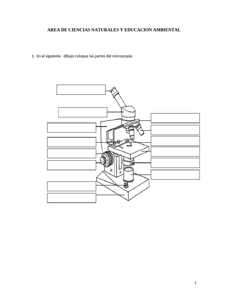 Guia 1. EL Microscopio | PDF