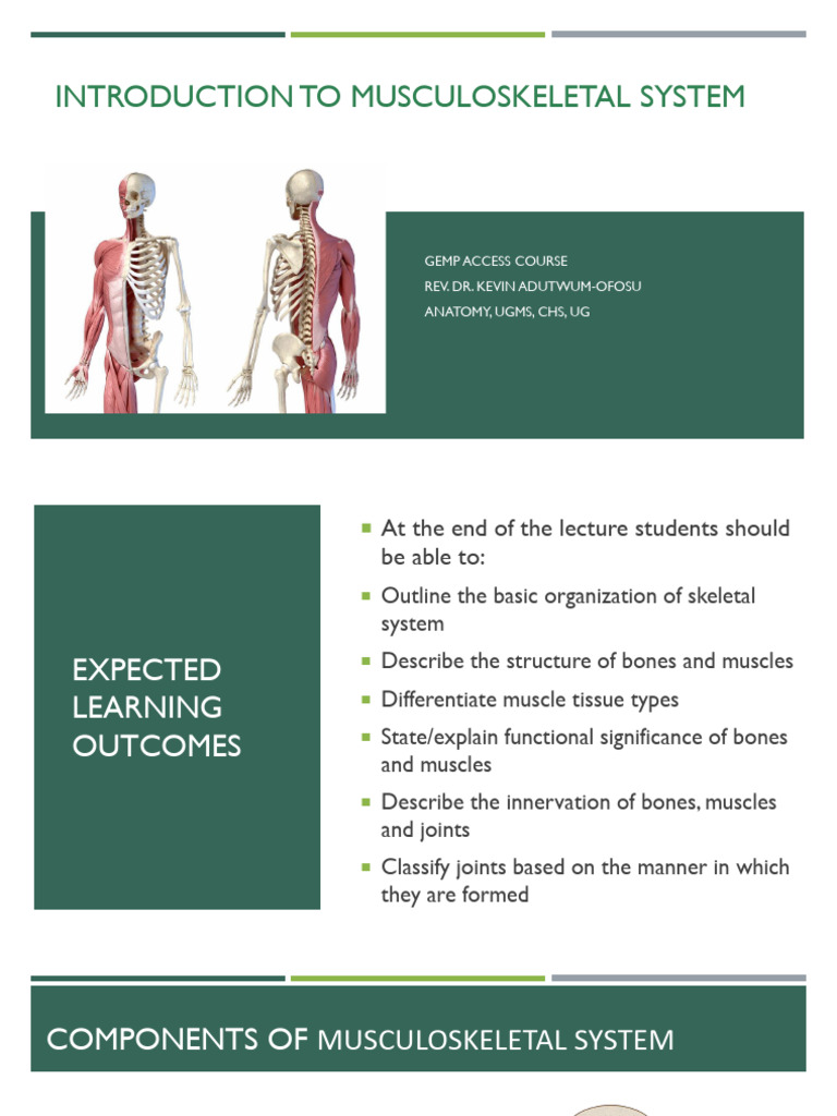GEMP Access Course - Introduction To Musculoskeletal System | PDF ...