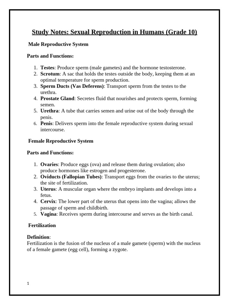 Human Sexual Reproduction Study Guide | PDF | Reproductive System ...
