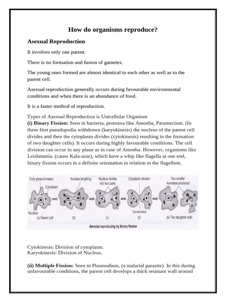 How do organisms reproduce NOTES | PDF | Flowers | Uterus
