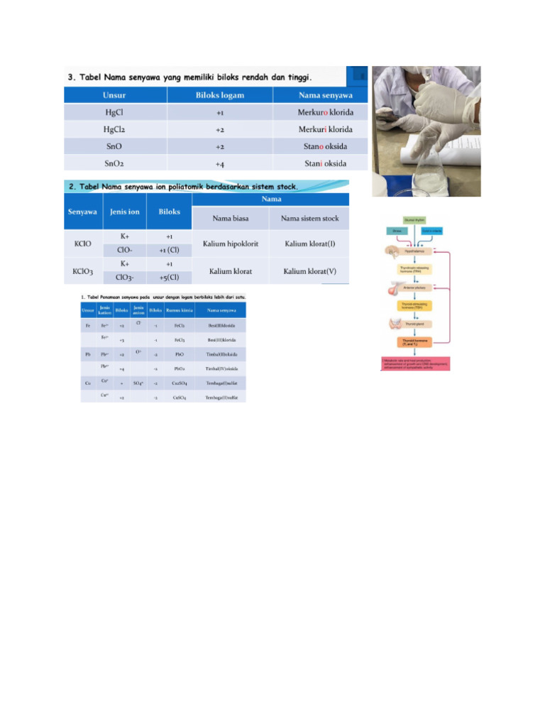 111111111111111 | PDF