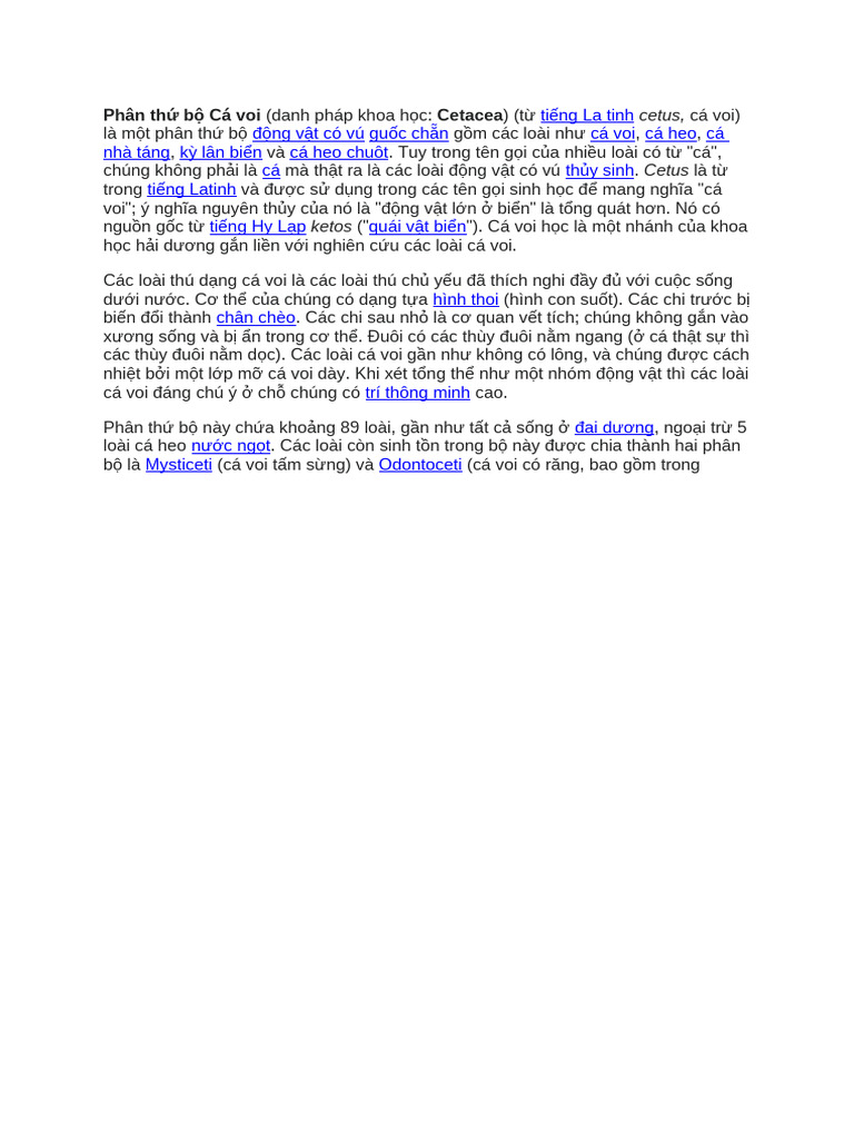Phân TH B Cá Voi | PDF