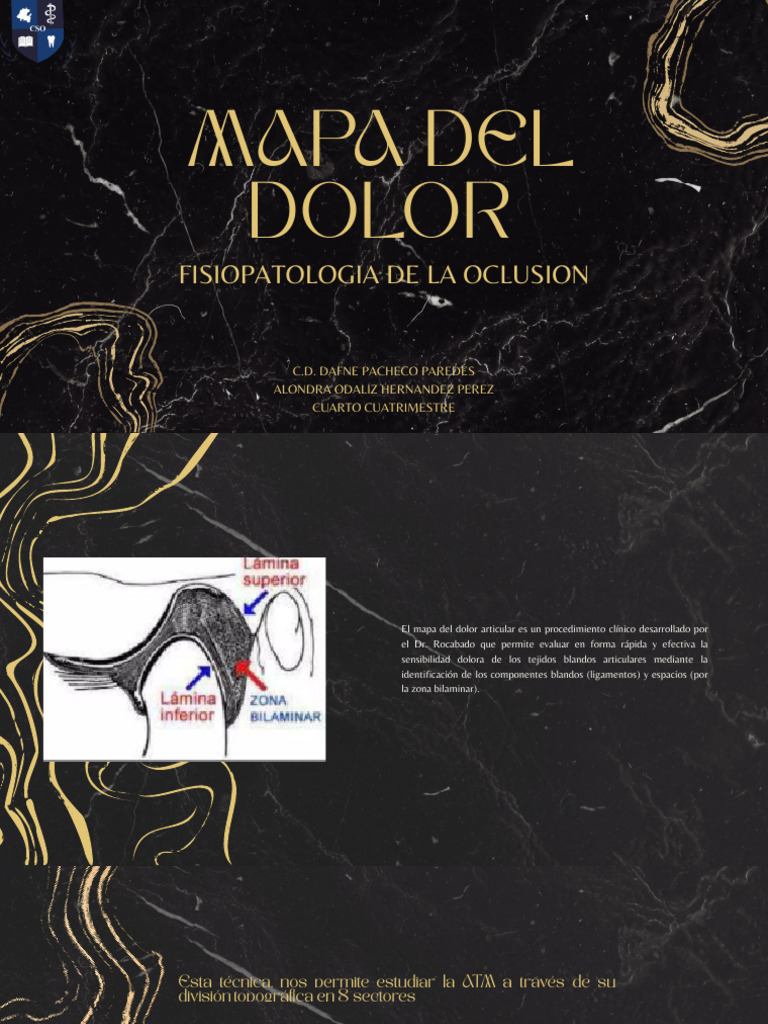 Mapa del Dolor Articular en Oclusión | PDF | Articulación | Sistema ...