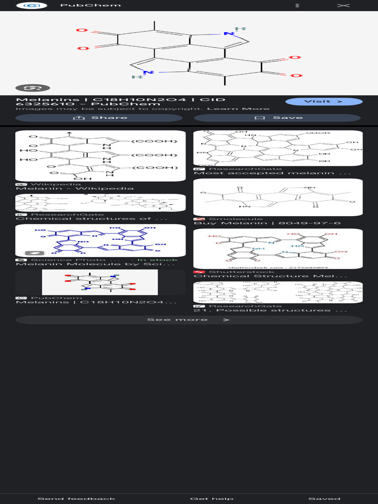 Is Melanin Polar - Google Search | PDF