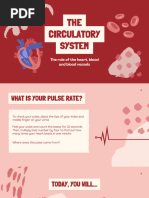 Overview of the Circulatory System | PDF | Blood Vessel | Heart