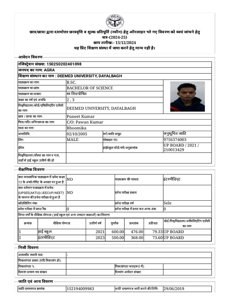 Summary Report Pdf