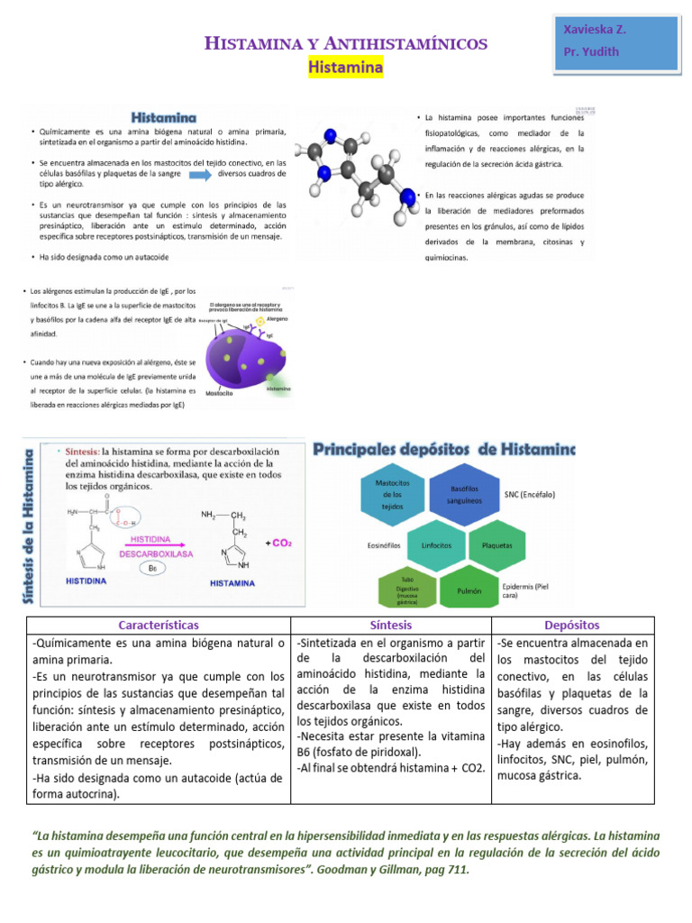 Histamina y Antihistamínicos: Funciones y Efectos | PDF | Inflamación ...