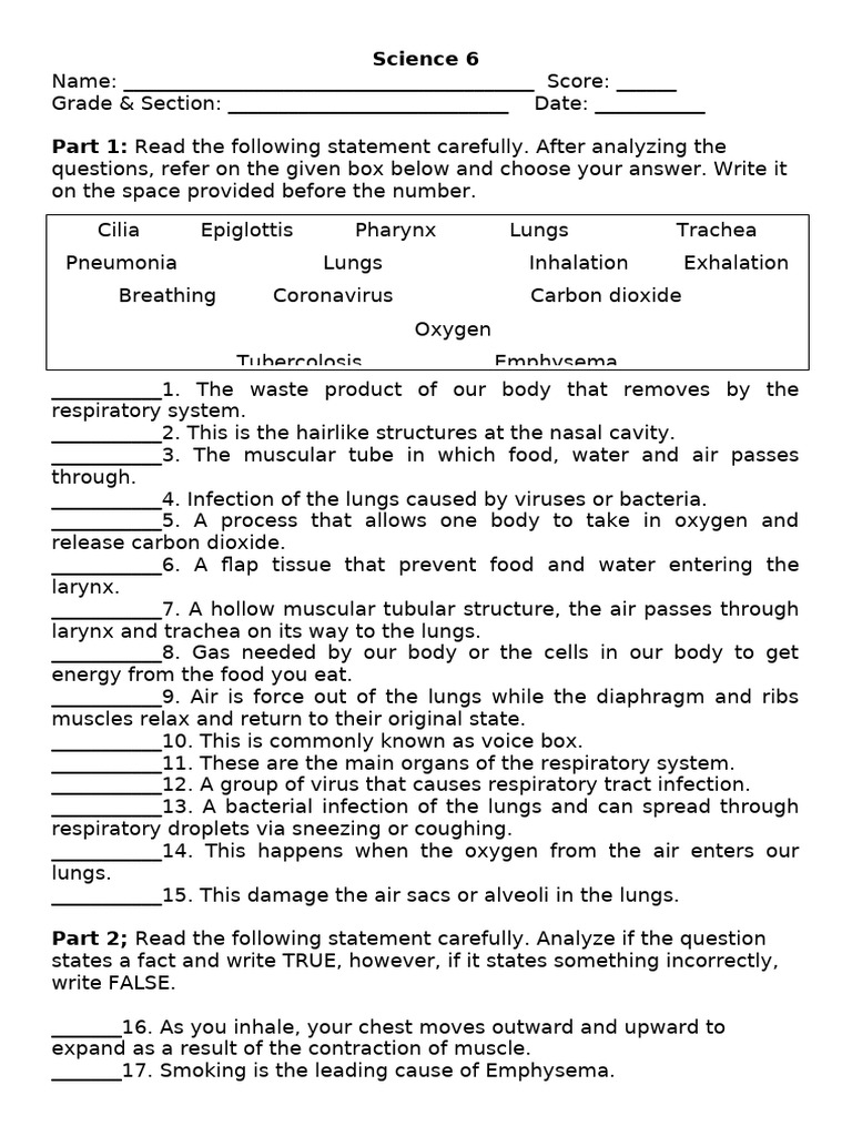 Science 6 | PDF | Respiratory Tract | Lung