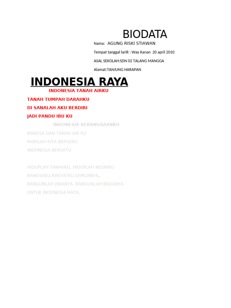 Biodata Agung Rizki Stiawan | PDF