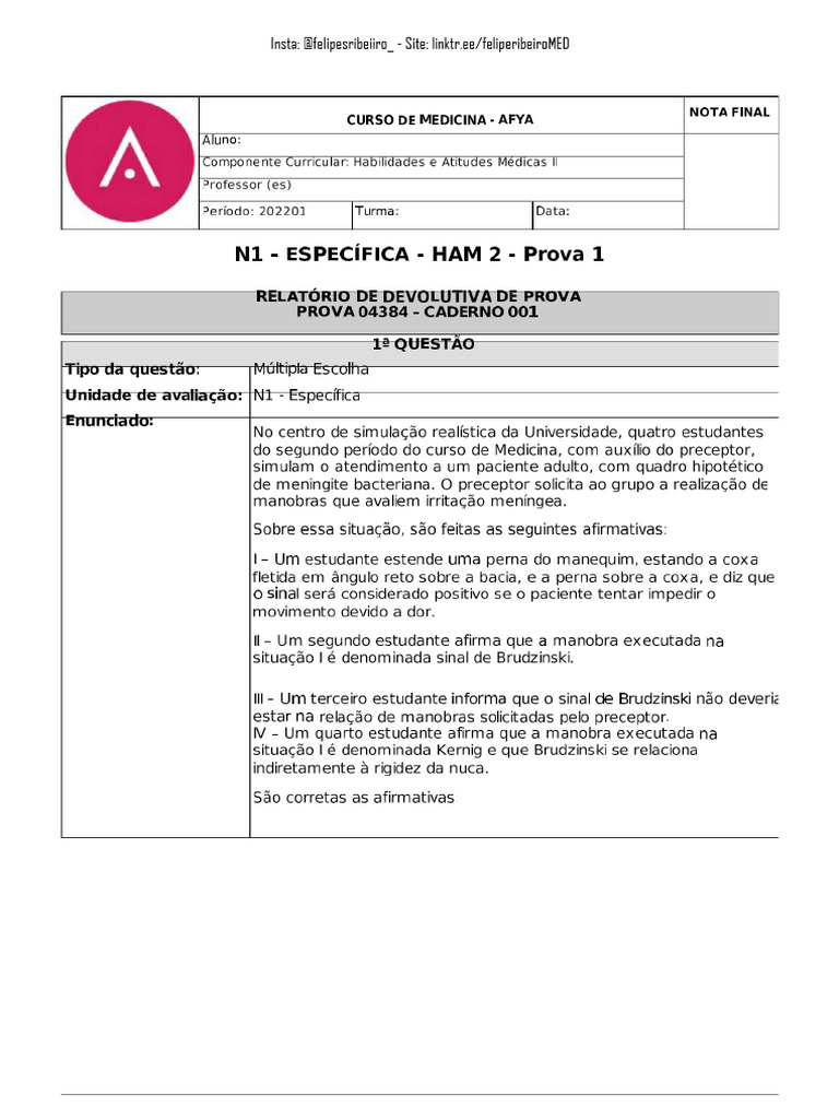 N1 Ham Ii - Felipe Ribeiro | PDF