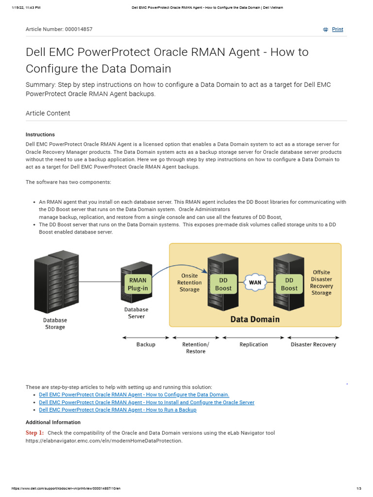 Dell EMC PowerProtect Oracle RMAN Agent - How To Configure The Data Domain - Dell Vietnam | PDF ...