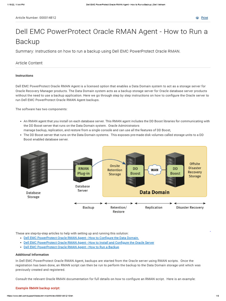 Dell EMC PowerProtect Oracle RMAN Agent - How to Run a Backup _ Dell Vietnam | PDF | Backup ...