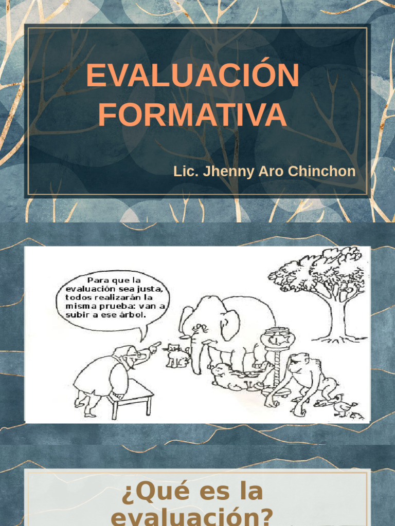 Evaluación Formativa Clave Del Aprendizaje Pdf