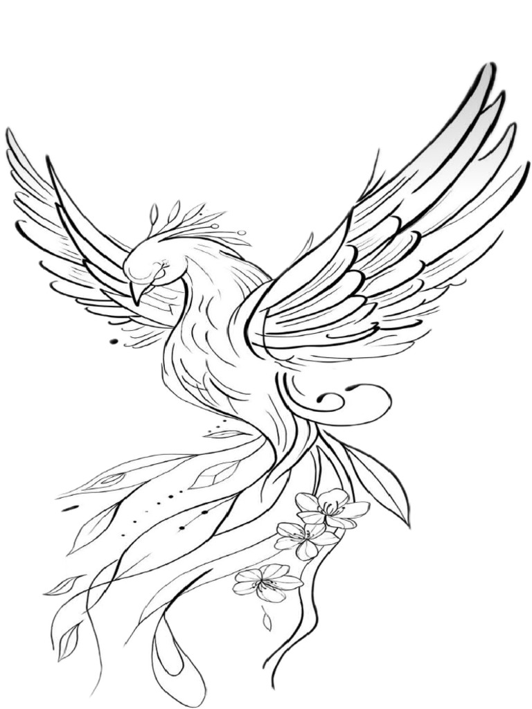 Fenix | PDF