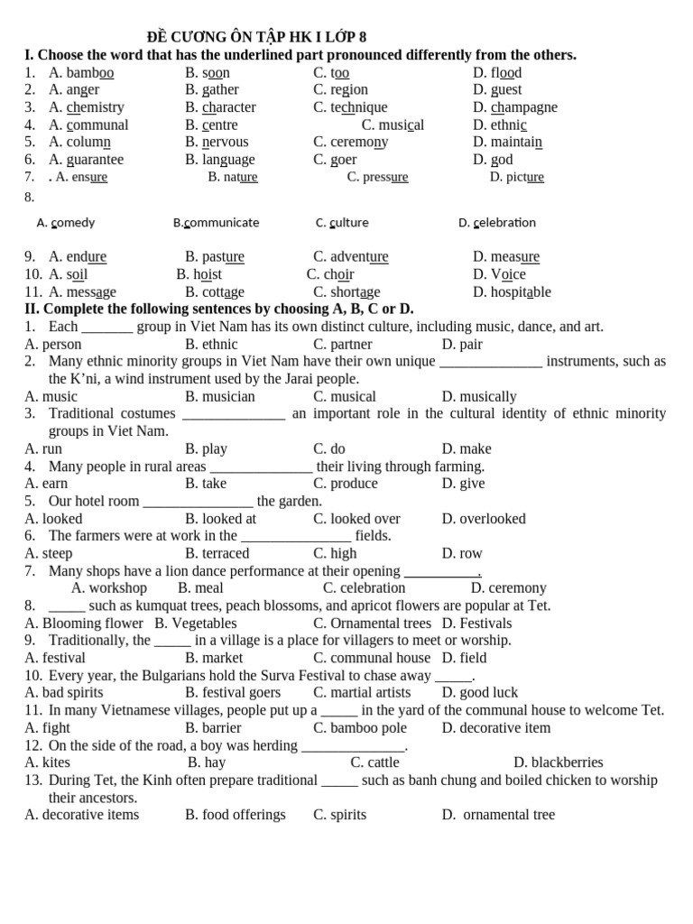De Cuong Cki Anh 8 2324 | PDF | Paddy Field | Rice