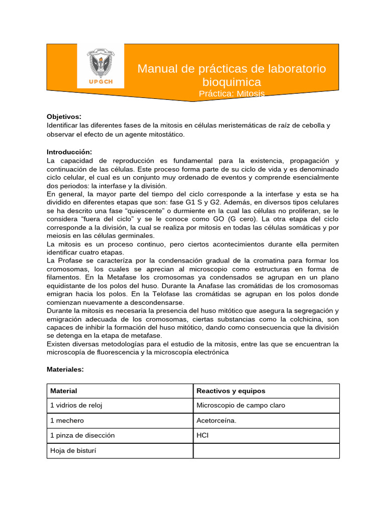 Practica 3 - B | PDF | Mitosis | Ciclo celular