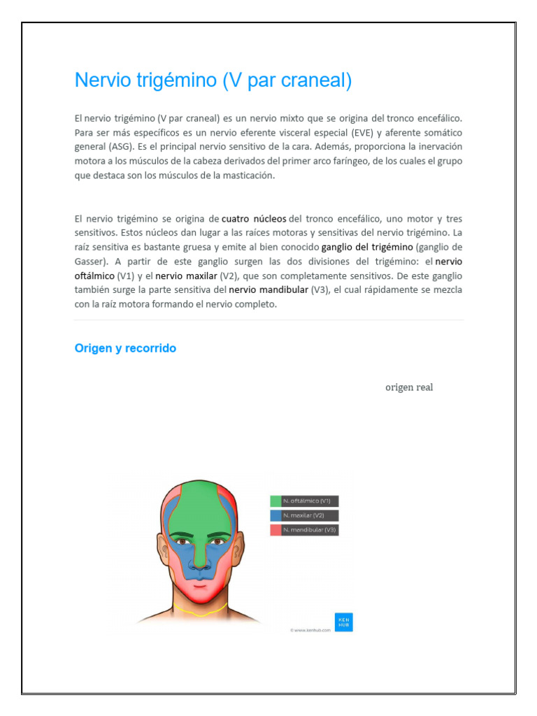 Nervio Trigémino Fundamentos de Cirugía | PDF | Cabeza y cuello humanos ...