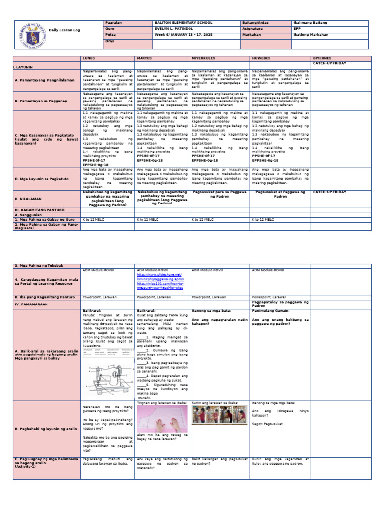 Dll Week 6-q3 Epp 5 | PDF