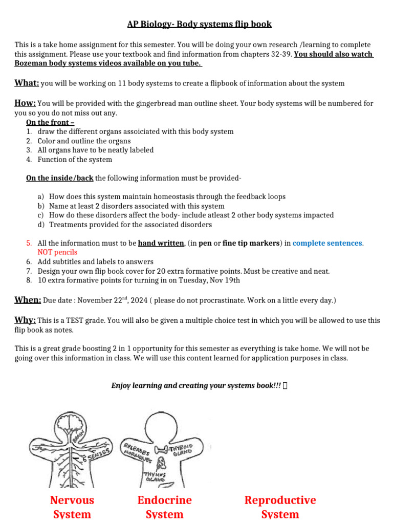 Body Systems Flipbook Instructions 24-25 | PDF