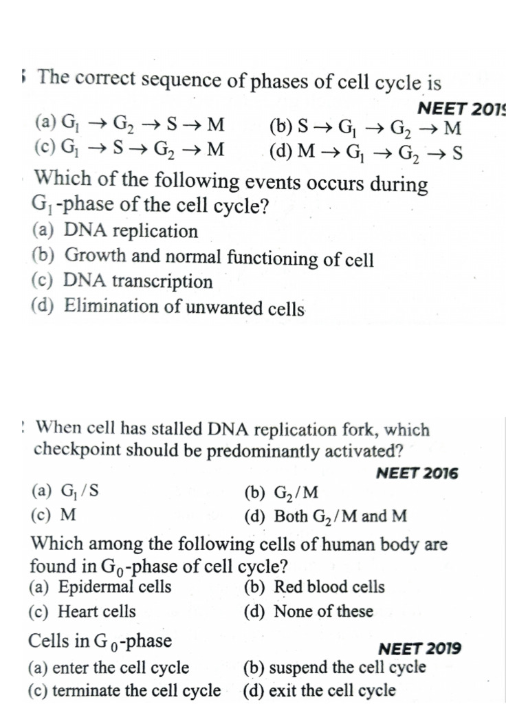 Cell Cycle | PDF