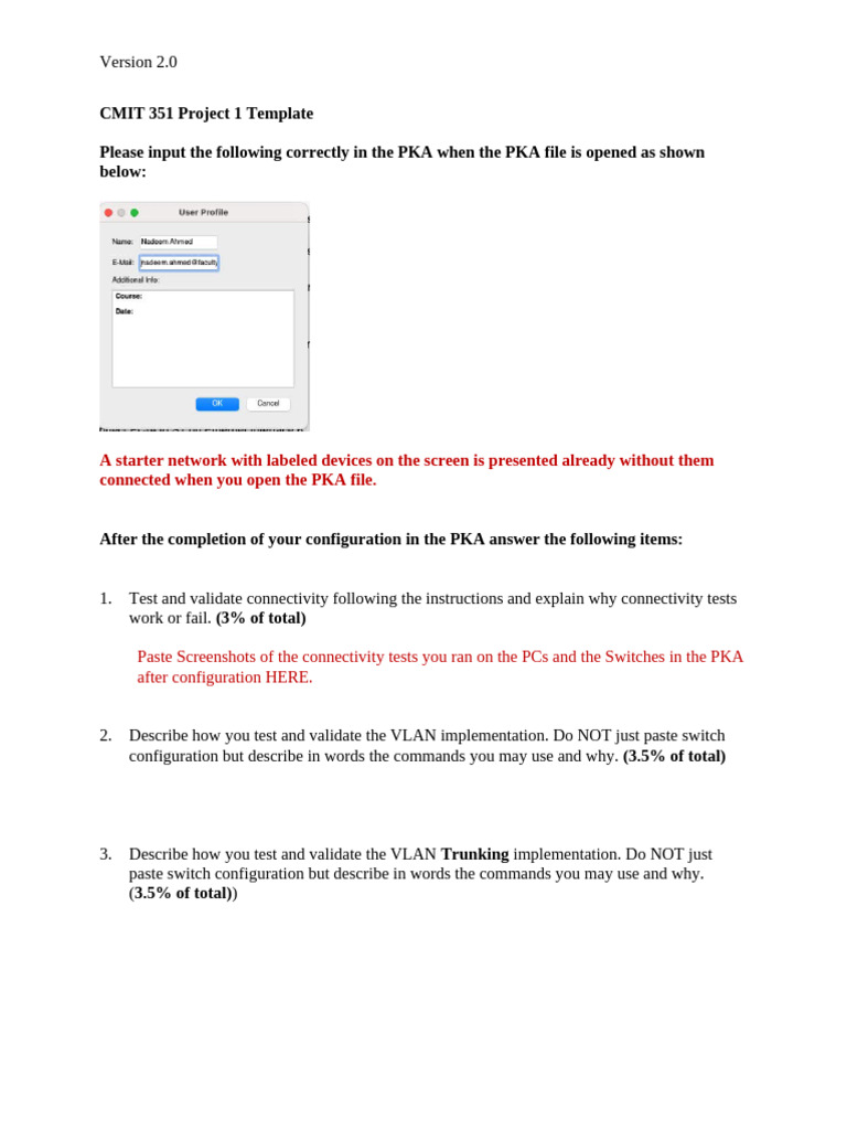 CMIT 351 Project 1 Template v2 | PDF
