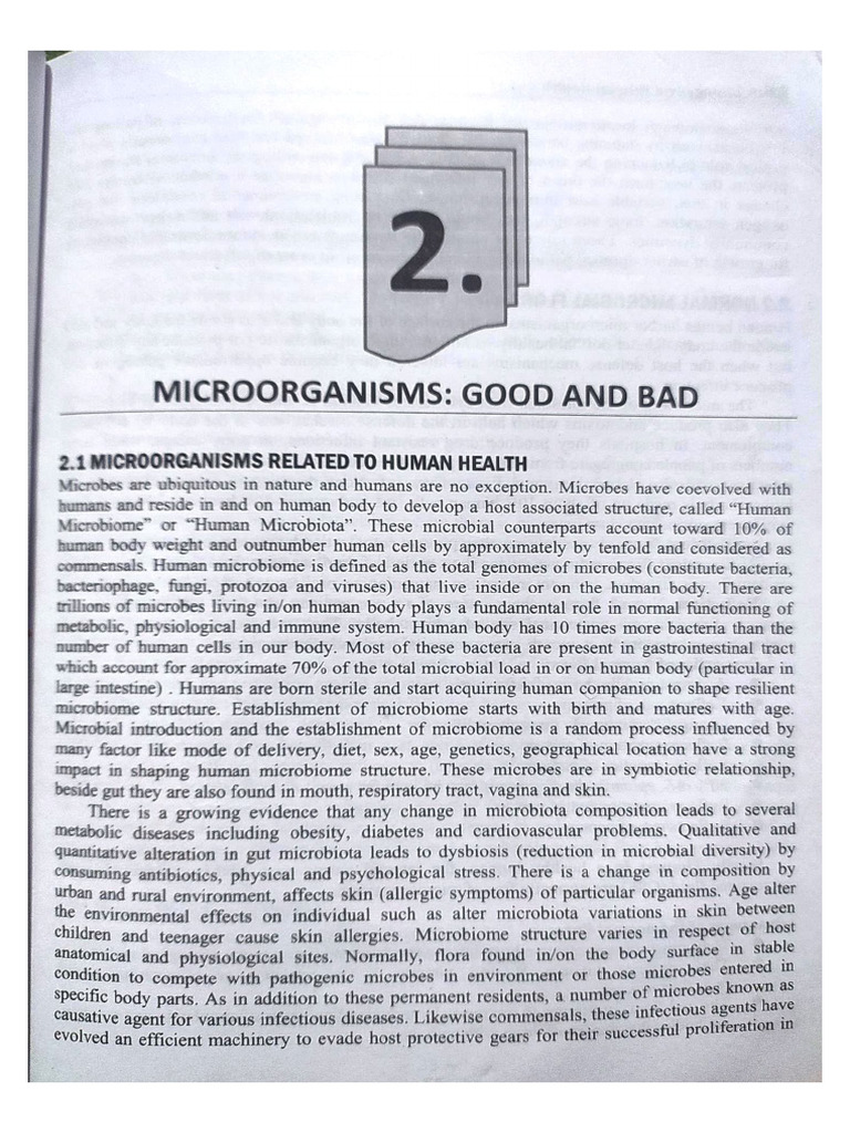 Microbiology Unit 2 | PDF