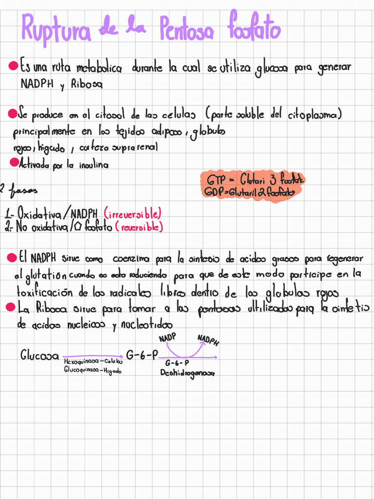 Clase 8 - 240924 - 080830 | PDF