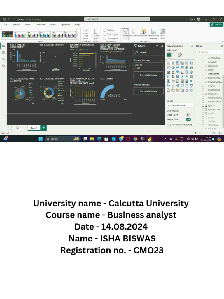 Project Power Bi | PDF