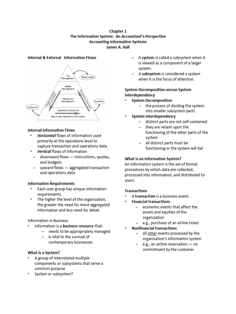 Chapter 1 Information System 2 Pdf Audit System