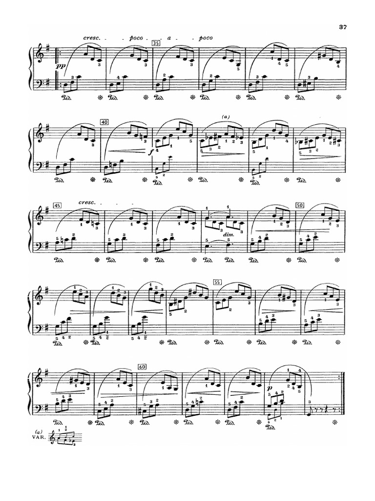 Wittgenstein - School For The Left Hand, Transcriptions 3 | PDF