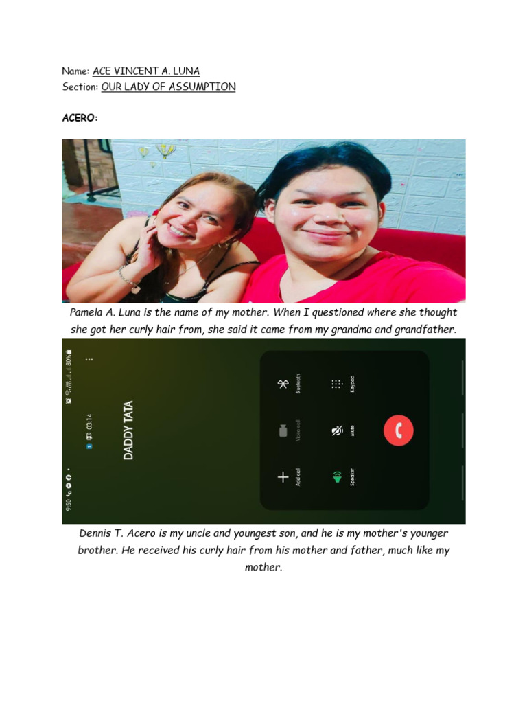LUNA-ACERO DOCUMENTATION | PDF