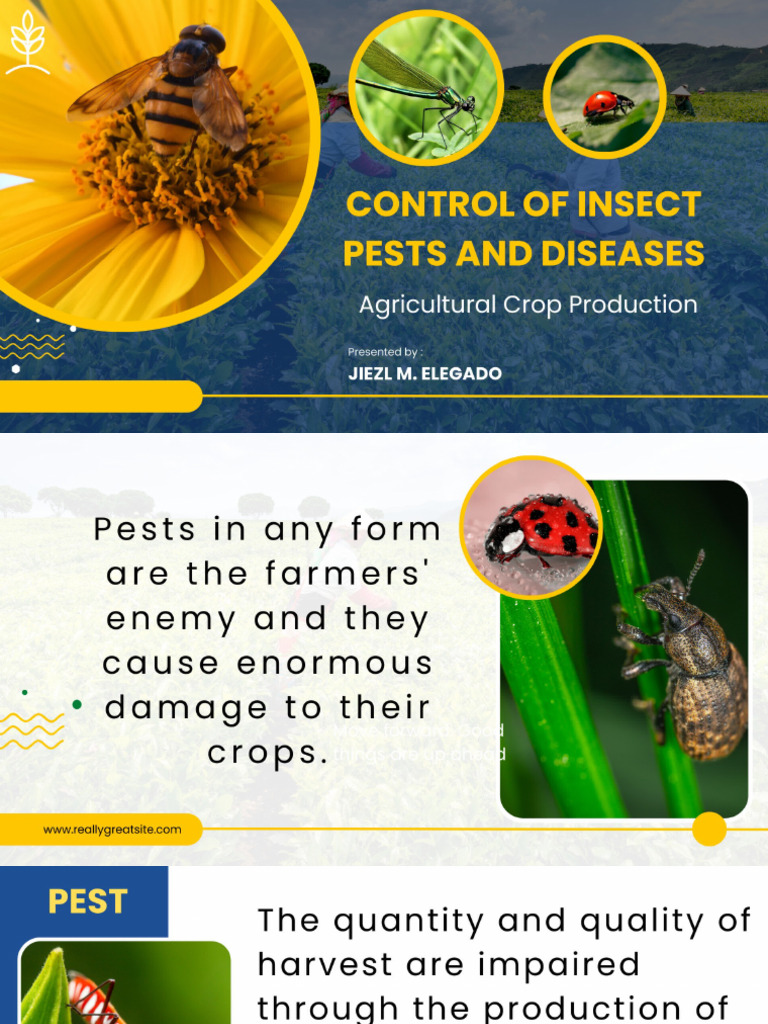 Control of Insect Pest and Diseases | PDF