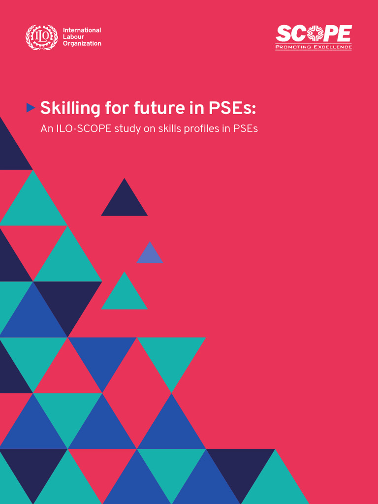 Skilling For Future in PSEs - An ILO-SCOPE Study On Skills Profiles in ...