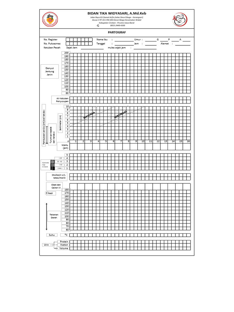 Form Partograf | PDF