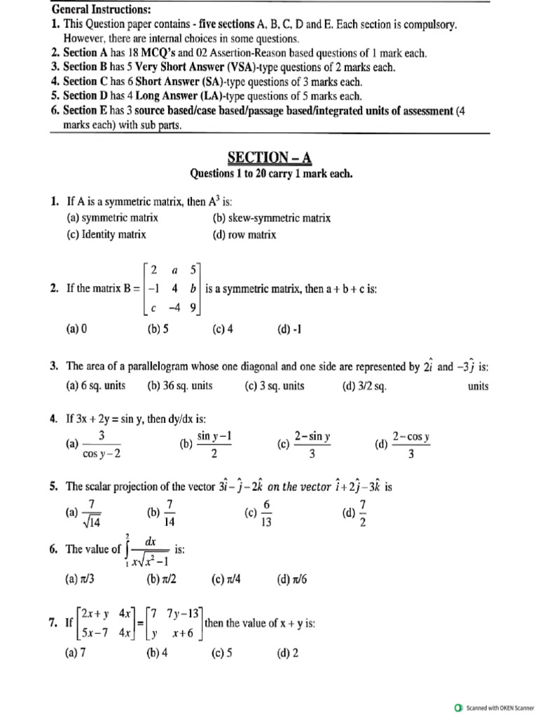 Maths Class Xii Sample Paper Test 11 for Board Exam 2024 | PDF