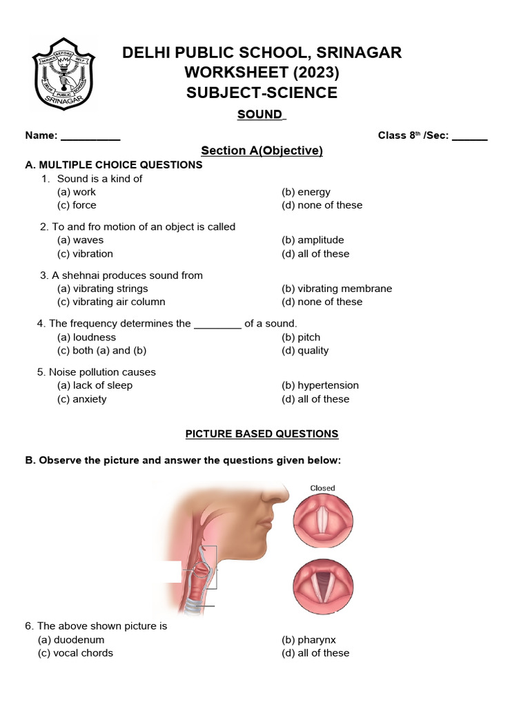 Worksheet Sound 8th 2023 | PDF | Sound | Hertz
