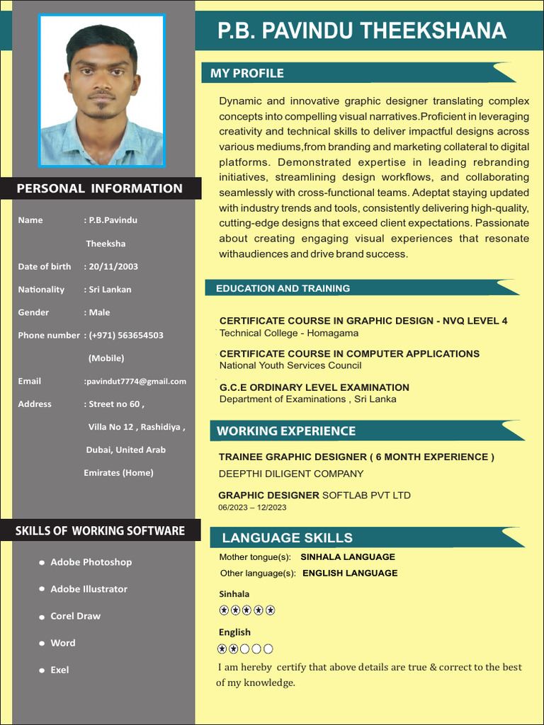 Pavindu Graphic Designer Fresher | PDF | Computing | Human Communication