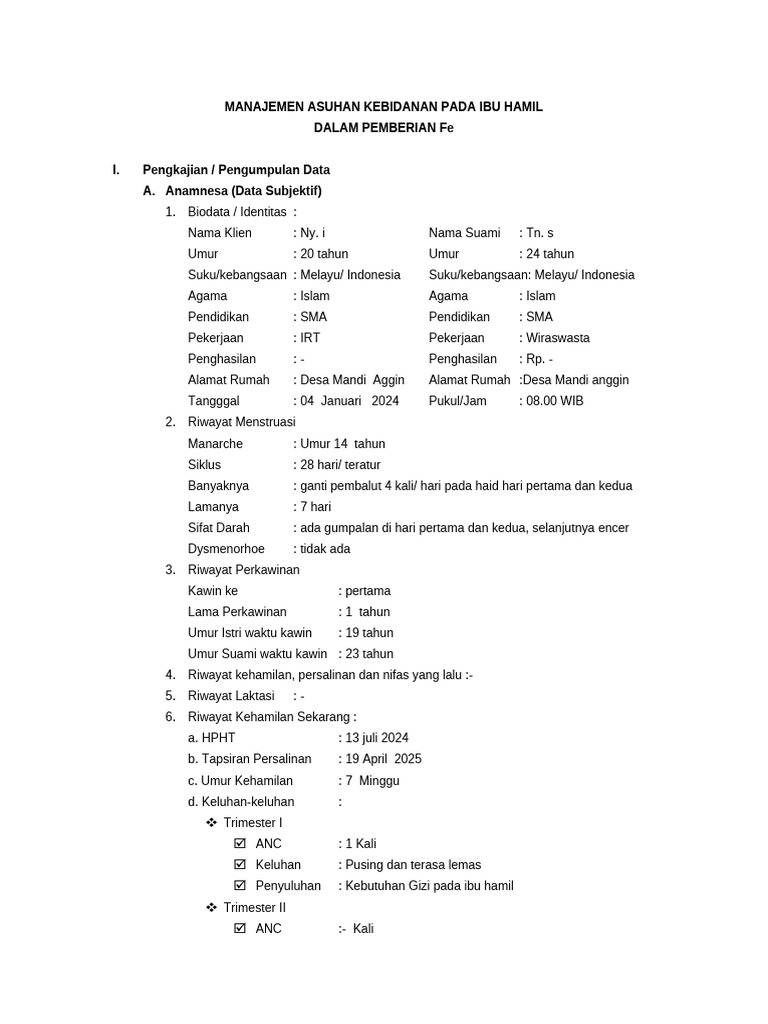 Askeb Kebidanan Ibu Hamil Ekin Dan Fe | PDF