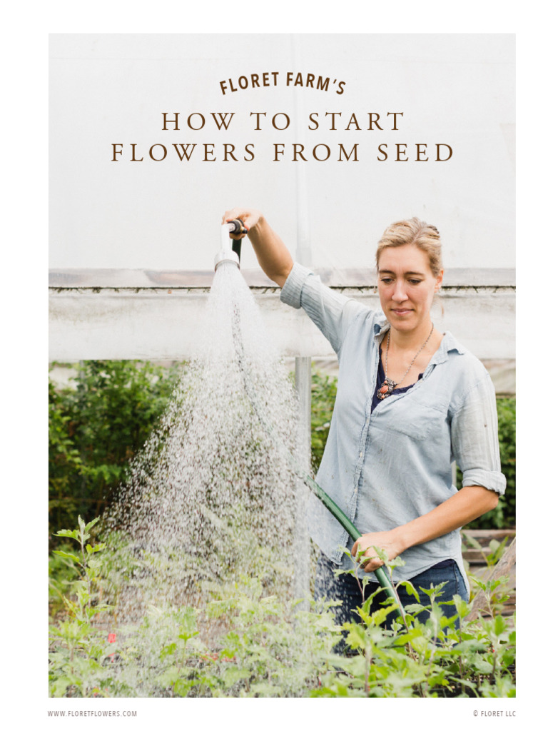 Starting Flower Seeds: A Complete Guide | PDF | Seedling | Seed