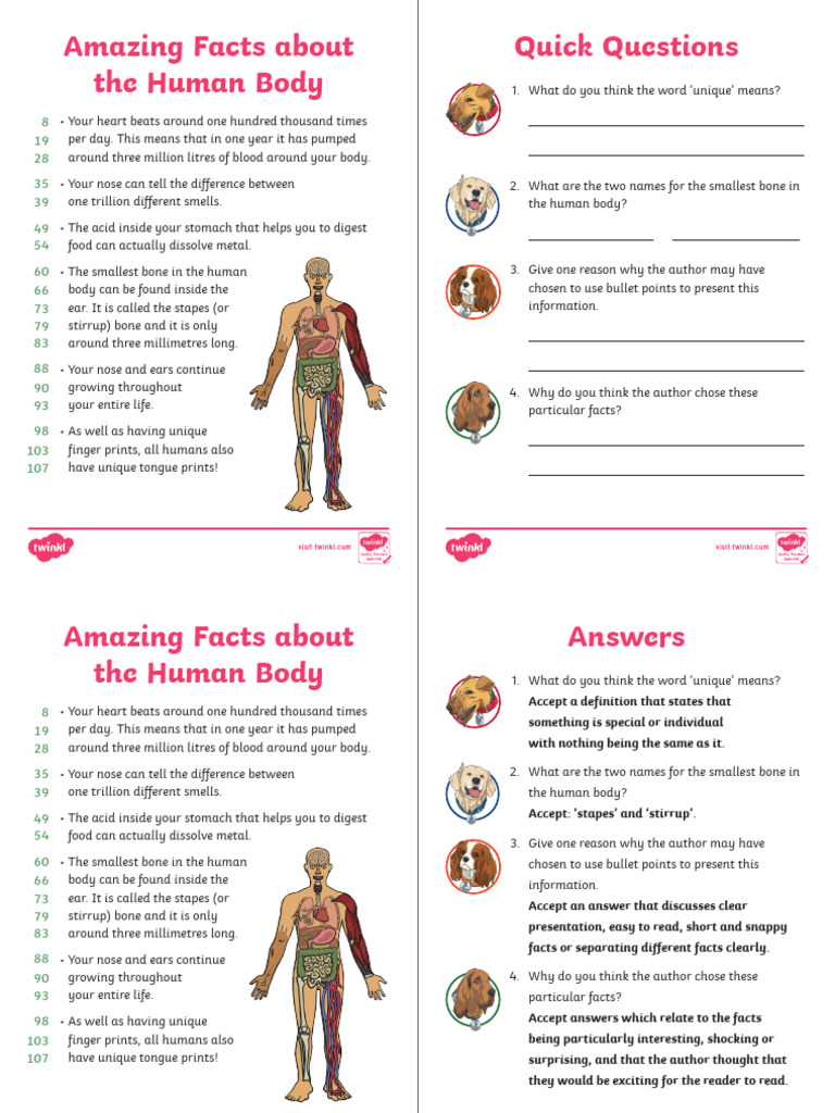 Amazing Facts About The Human Body For You | PDF