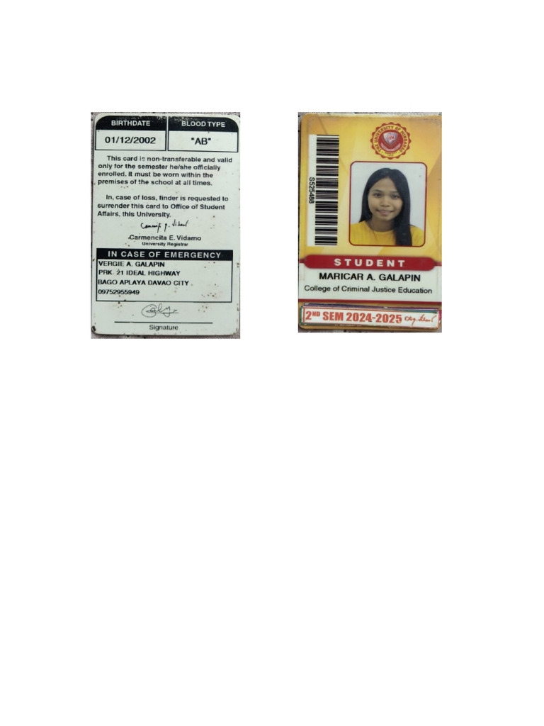 ID Picture | PDF