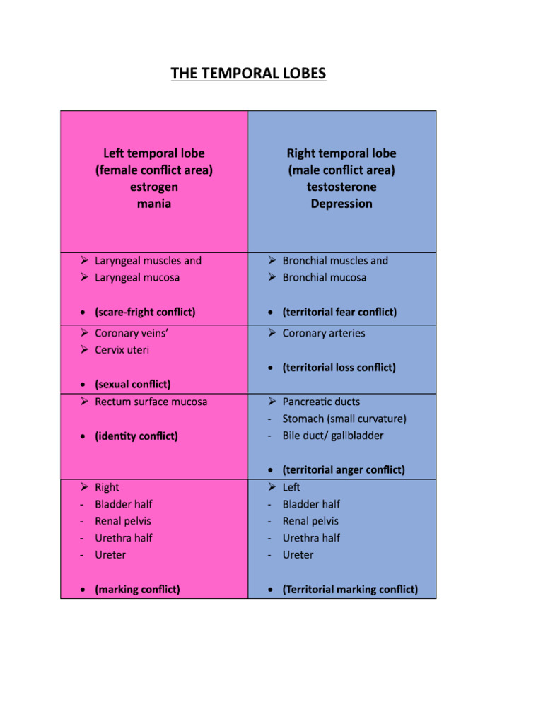 Temporal Lobes | PDF