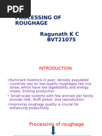 Classification of Roughages | PDF | Dietary Fiber | Diet & Nutrition