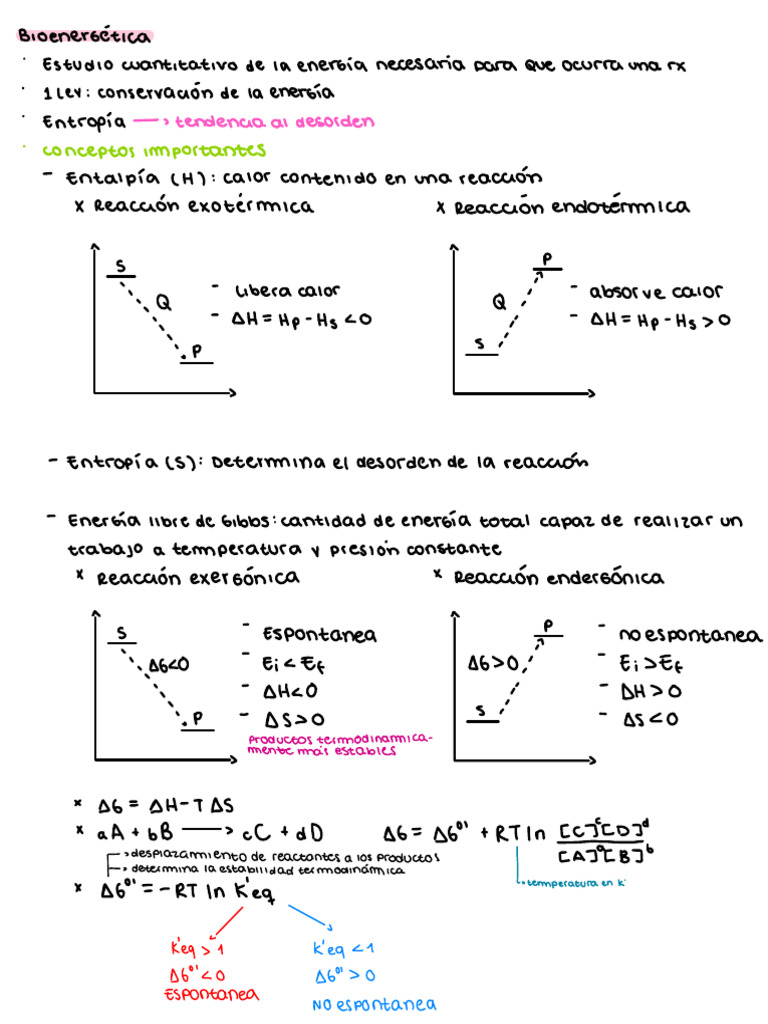 Resumen I2 | PDF | Trifosfato de adenosina | Propiedades termodinámicas.