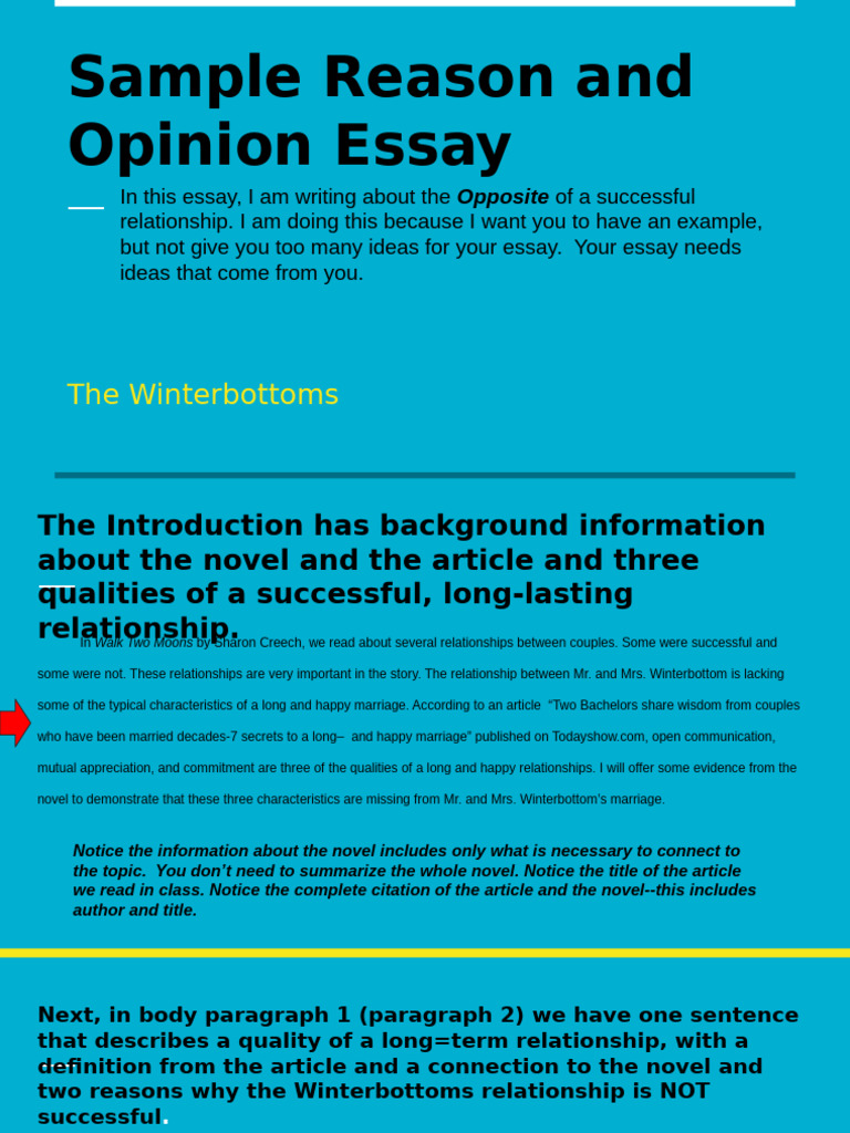 Sample Reason and Example Essay | PDF | Reason