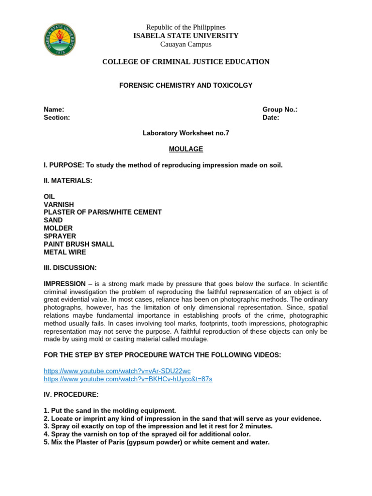 Laboratory Activity 7 - Moulage | PDF | Forensic Science | Plaster