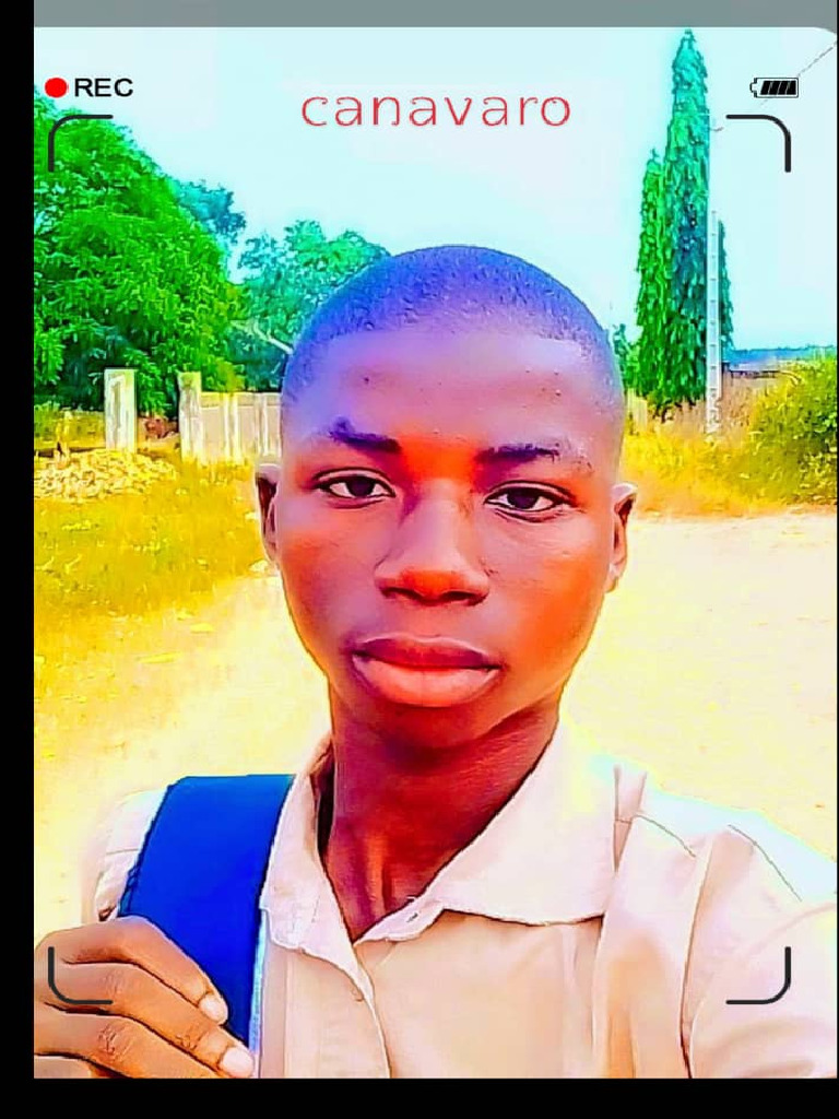 Cédric Documents | PDF