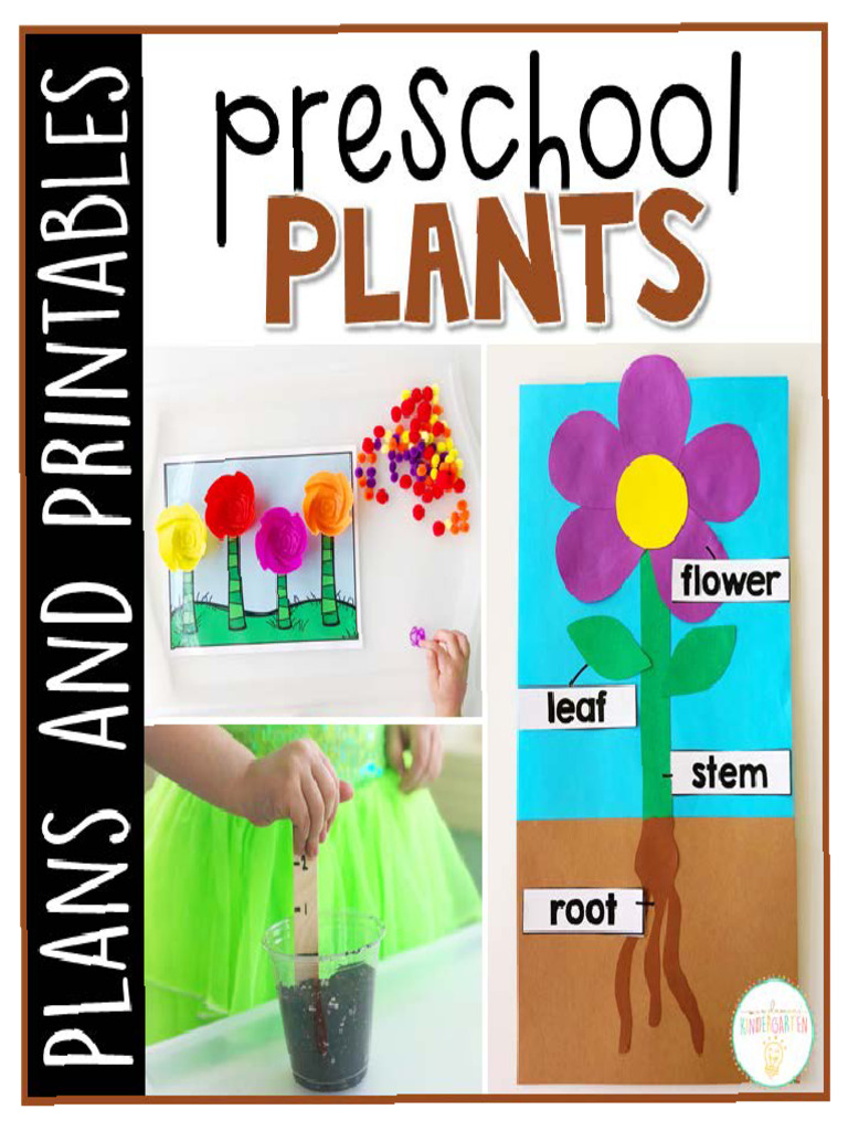 PreschoolPlantsPlansandPrintables 1 | PDF | Flowers | Plants