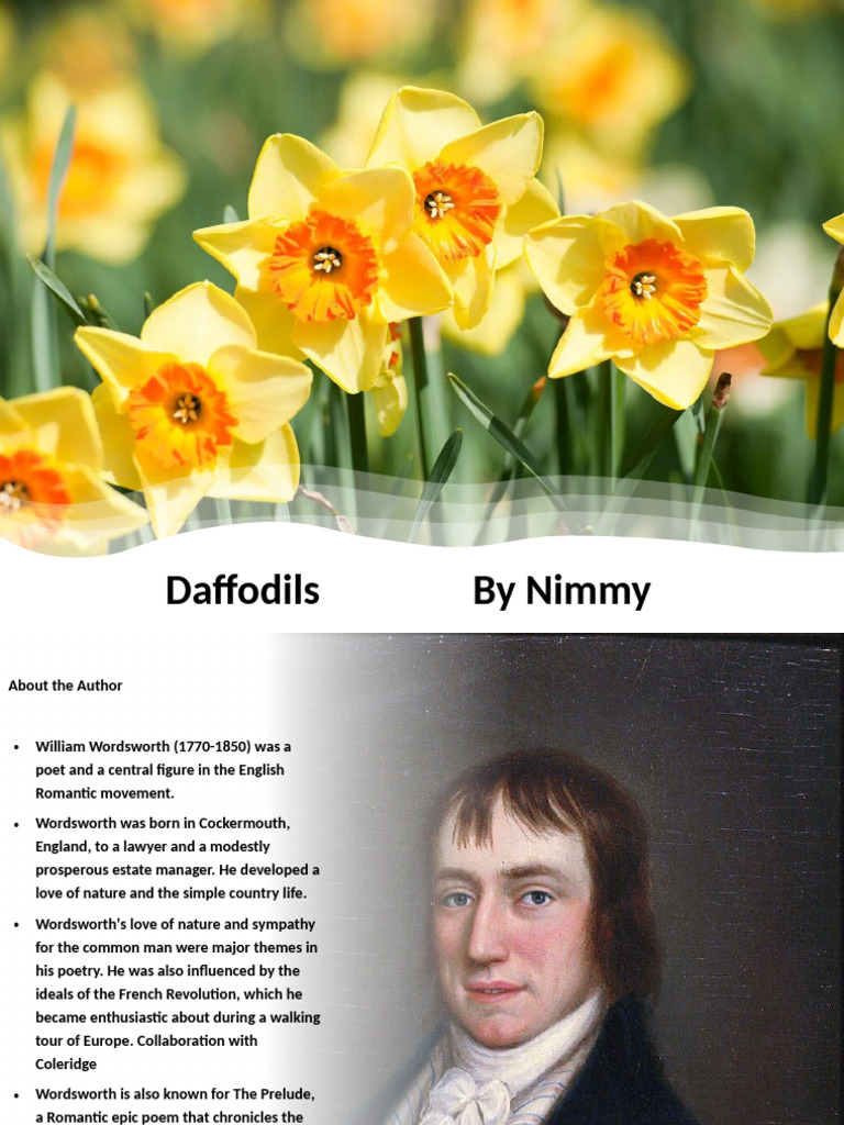 Daffodils | PDF